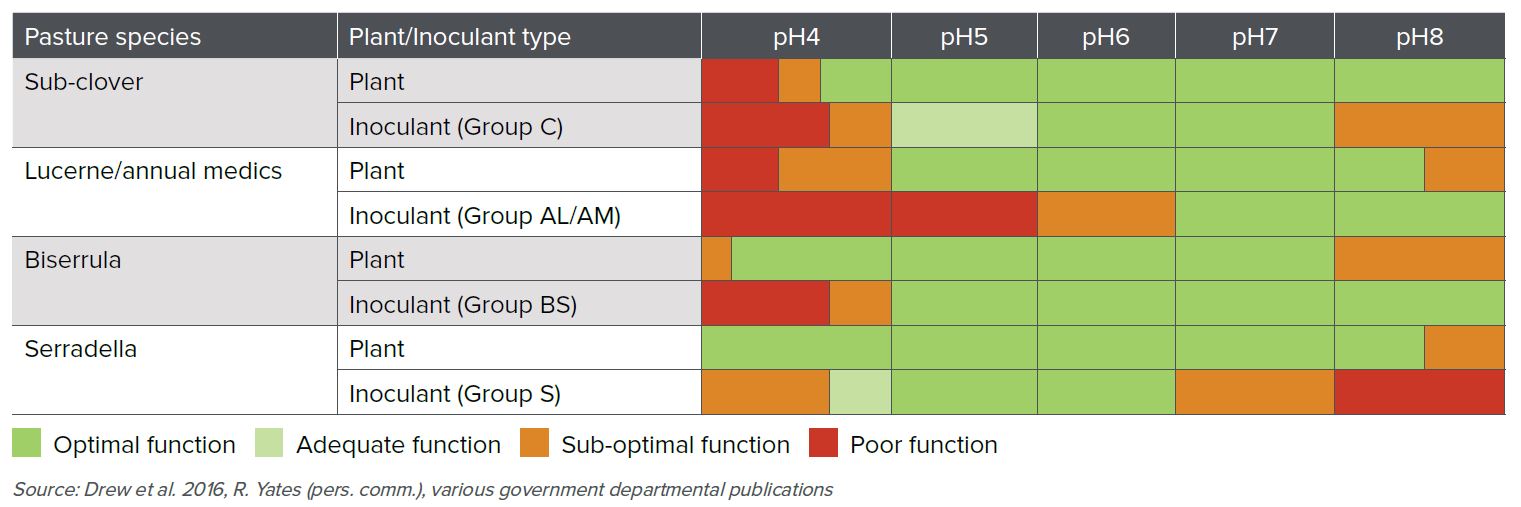 What affects nodulation? - The Toolbox - MLA eLearning