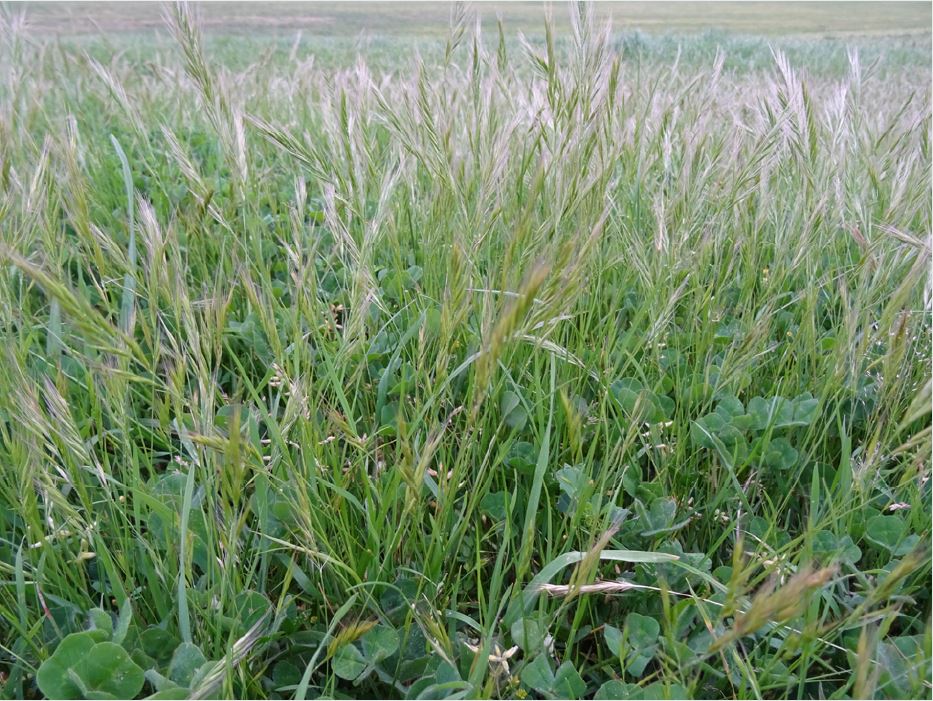 Other management considerations - The Toolbox - MLA eLearning