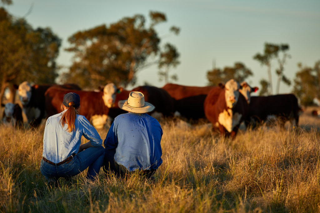 Measuring your own emissions - The Toolbox - MLA eLearning