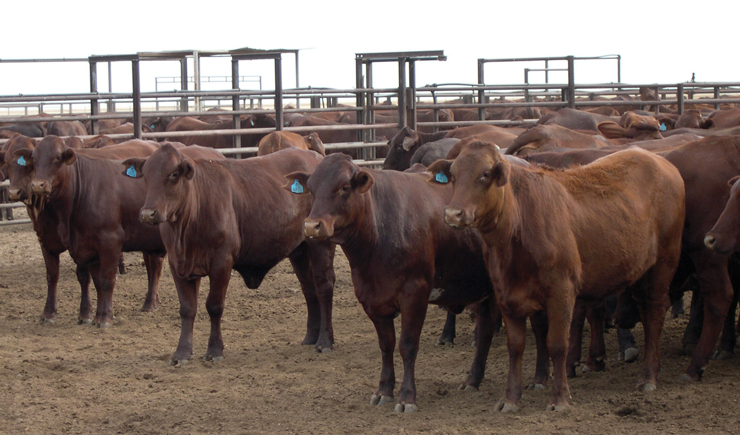 Other considerations - The Toolbox - MLA eLearning