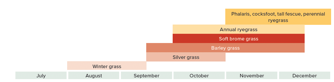 Timing - The Toolbox - MLA eLearning