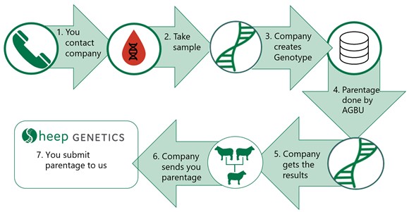 How genomics fits - The Toolbox - MLA eLearning