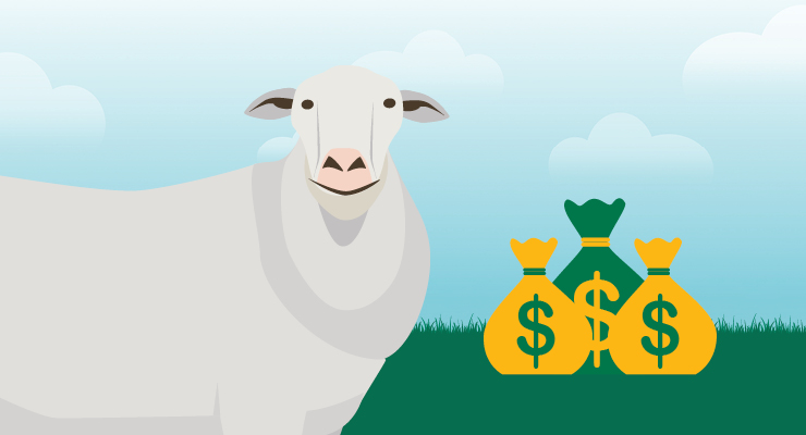 At the sale: Steps 1 - 3 - The Toolbox - MLA eLearning