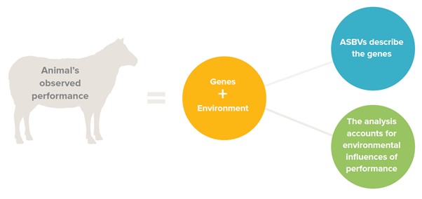 Management groups - The Toolbox - MLA eLearning