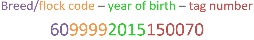 Identification of individual animals - The Toolbox - MLA eLearning