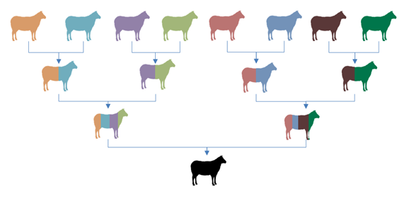 Pedigree - The Toolbox - MLA eLearning