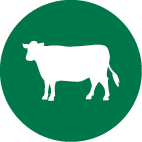 Top five reasons to wean - The Toolbox - MLA eLearning