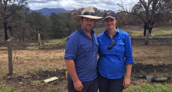 Case study: Making recovery decisions - The Toolbox - MLA eLearning