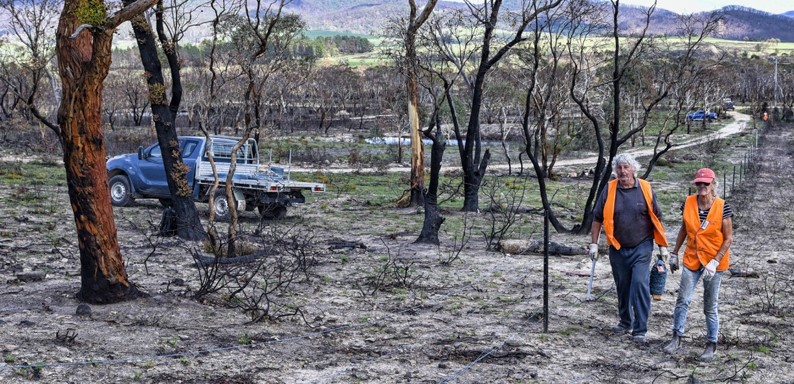 Safety & support - The Toolbox - MLA eLearning