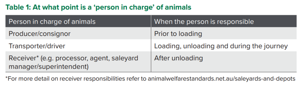 Who is the 'person in charge' of the animals? - The Toolbox - MLA eLearning