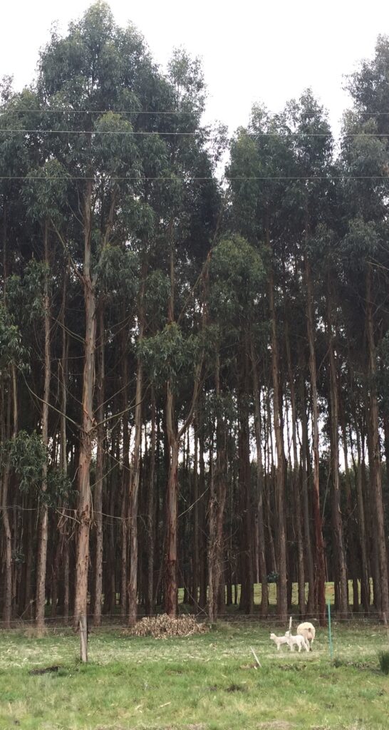 Introduction - The Toolbox - MLA eLearning