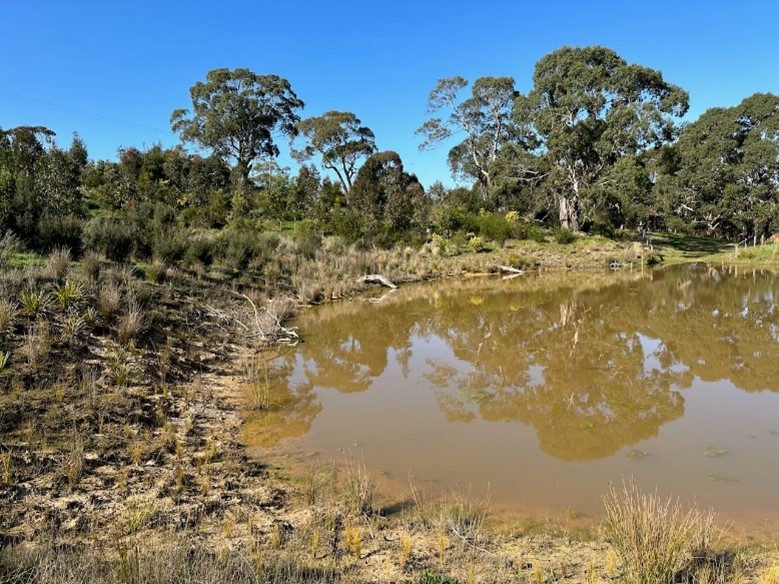 Step 7. Establishing fit for purpose trees - The Toolbox - MLA eLearning