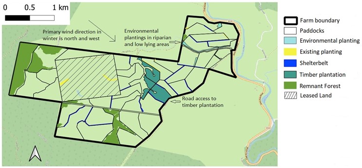 Step 3. Develop your tree layout - The Toolbox - MLA eLearning