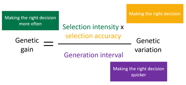 Genetic gain - The Toolbox - MLA eLearning