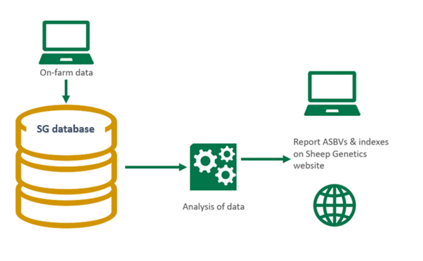 Getting results - The Toolbox - MLA eLearning