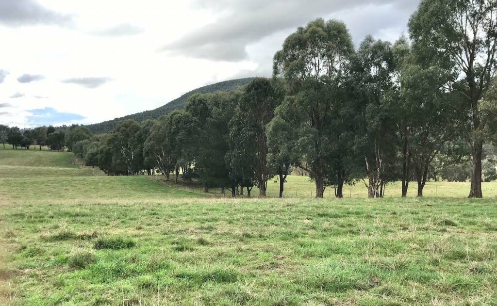 Step 5. Decision time - The Toolbox - MLA eLearning