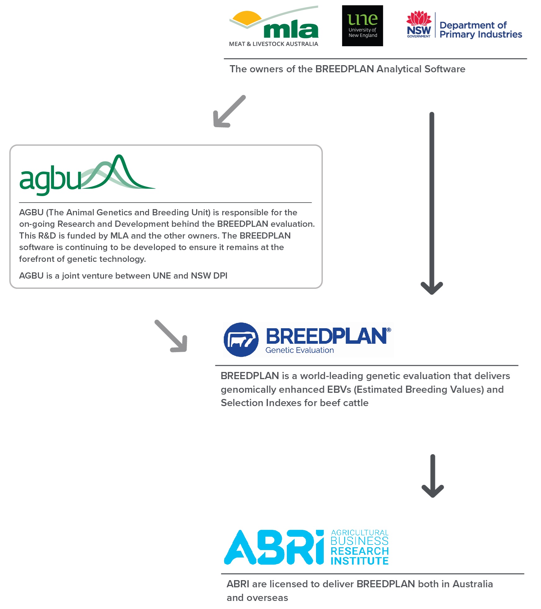 What is BREEDPLAN? - The Toolbox - MLA eLearning