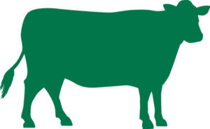 Visual assessment - The Toolbox - MLA eLearning