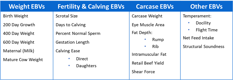 Available BREEDPLAN EBVs - The Toolbox - MLA eLearning