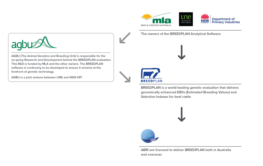 What is BREEDPLAN? - The Toolbox - MLA eLearning