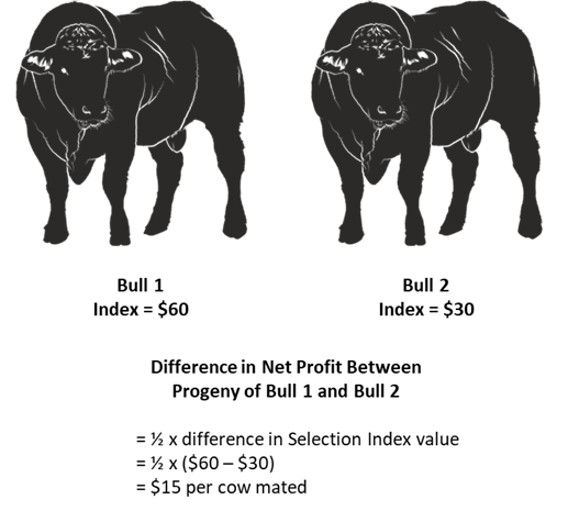 Interpreting Selection Indexes The Toolbox Mla Elearning
