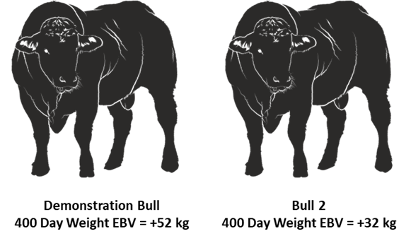 Compare expected difference in progeny performance - The Toolbox - MLA ...