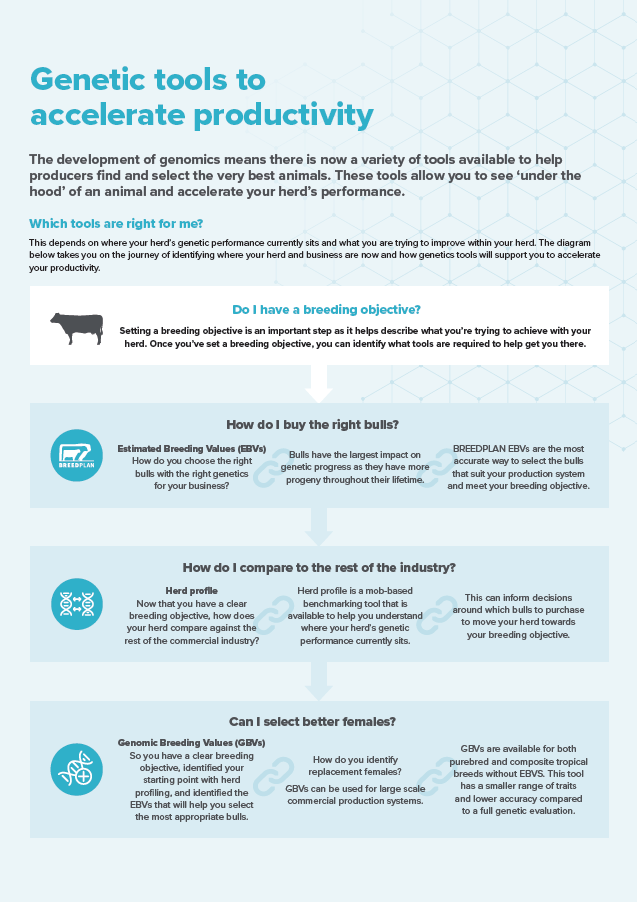 Other uses of DNA - The Toolbox - MLA eLearning