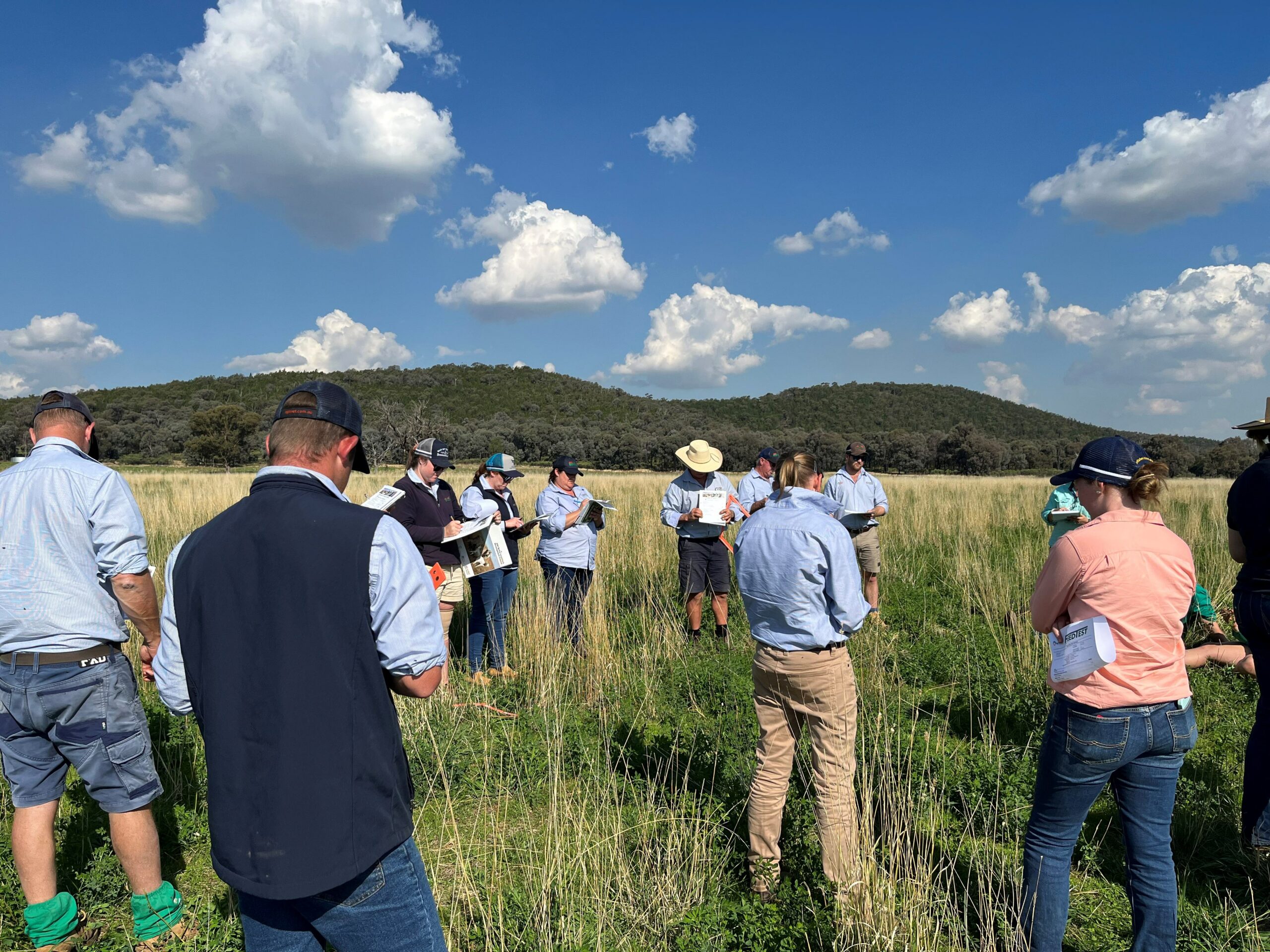 Module 4: Capable and confident people - The Toolbox - MLA eLearning