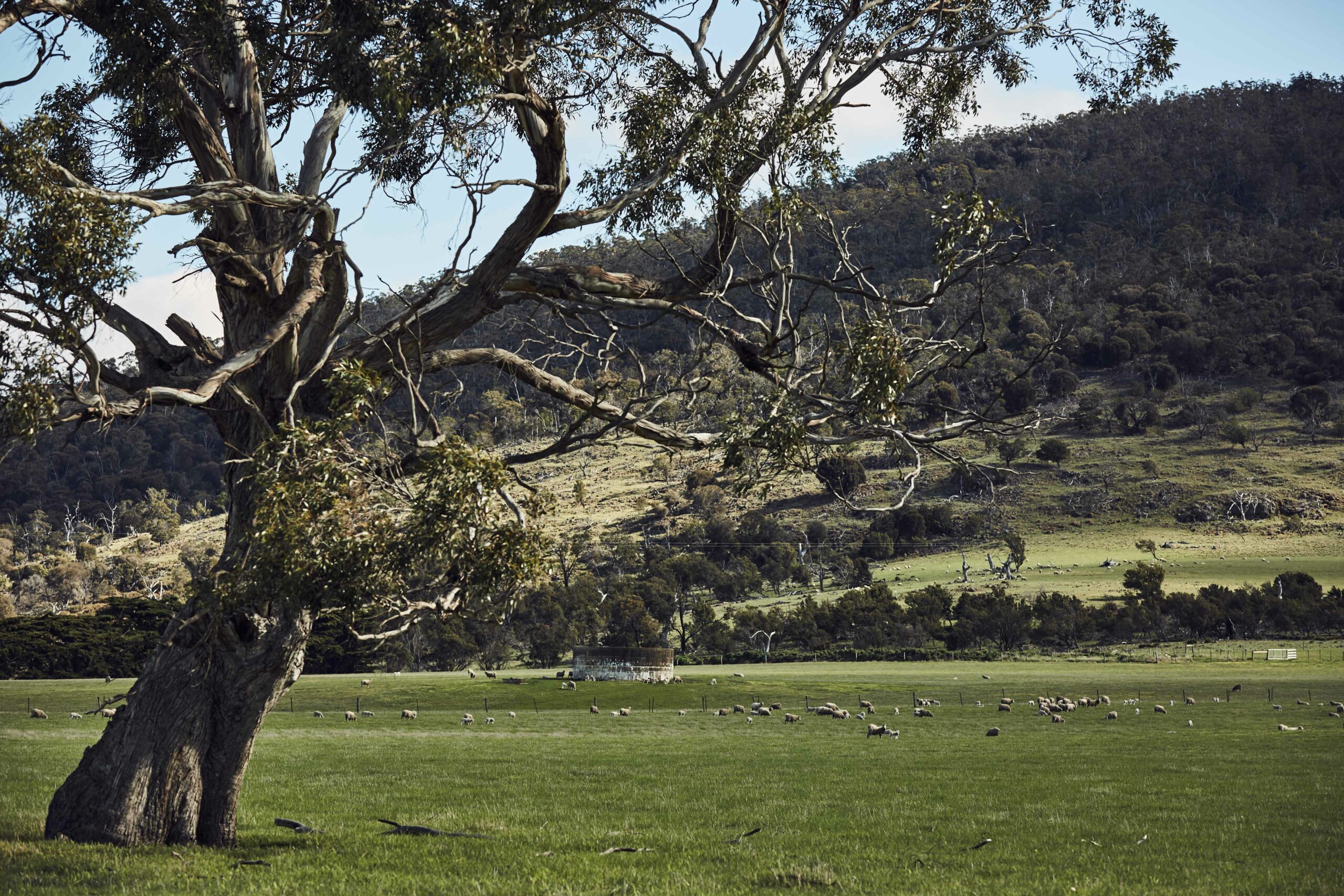 Module 5: Protect your farm's natural assets - The Toolbox - MLA eLearning