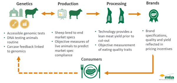 Selecting the most profitable product to produce - The Toolbox - MLA eLearning