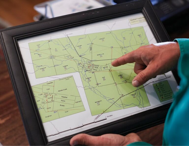 Planning the vision - The Toolbox - MLA eLearning