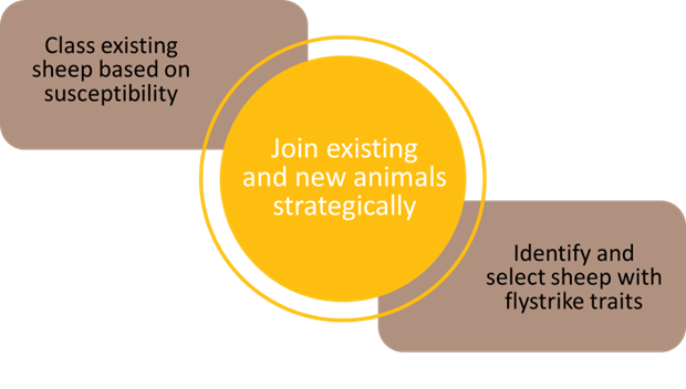 Making informed classing, selection and joining decisions - The Toolbox ...