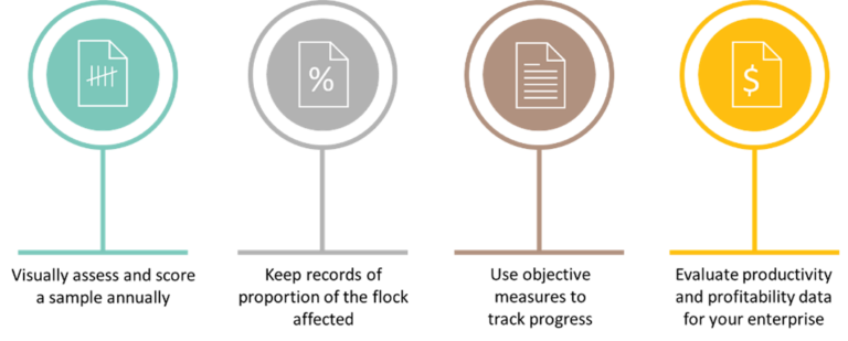 Monitoring and reviewing for continual improvement - The Toolbox - MLA eLearning